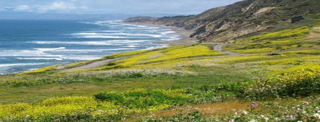 LANDSCAPES (Coastlines) Fun Facts - Road Trips and Tiny Trailers